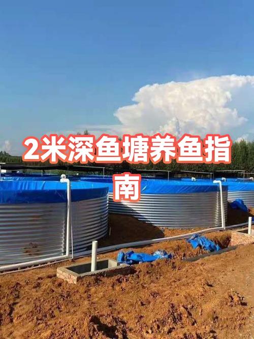 鱼塘养鱼赚钱吗图标