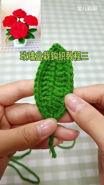 玫瑰花叶子的钩法视频教程图标