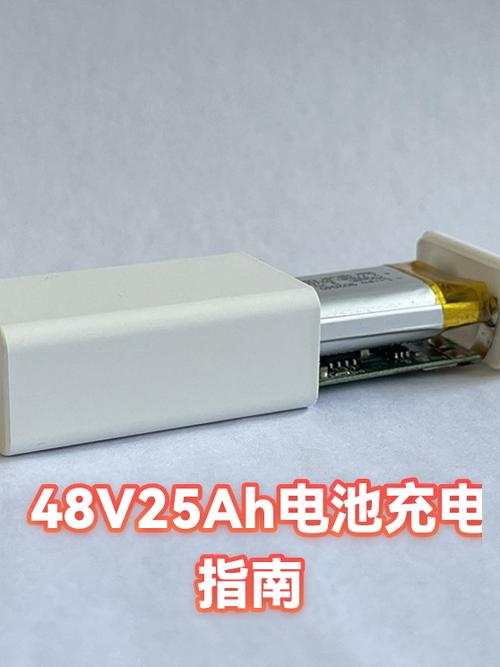 48v25ah锂电池用多大充电器图标