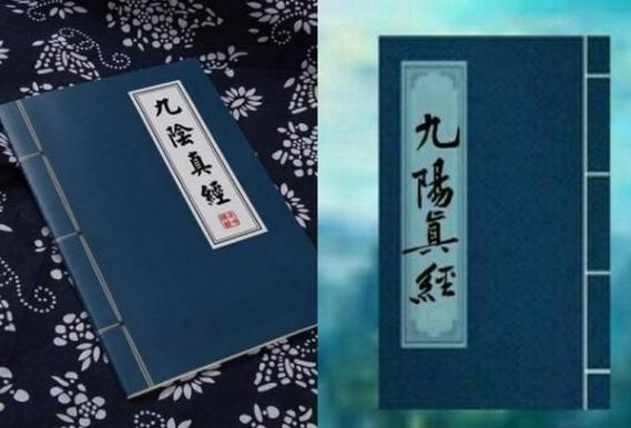九阳神功与九阴真经图标