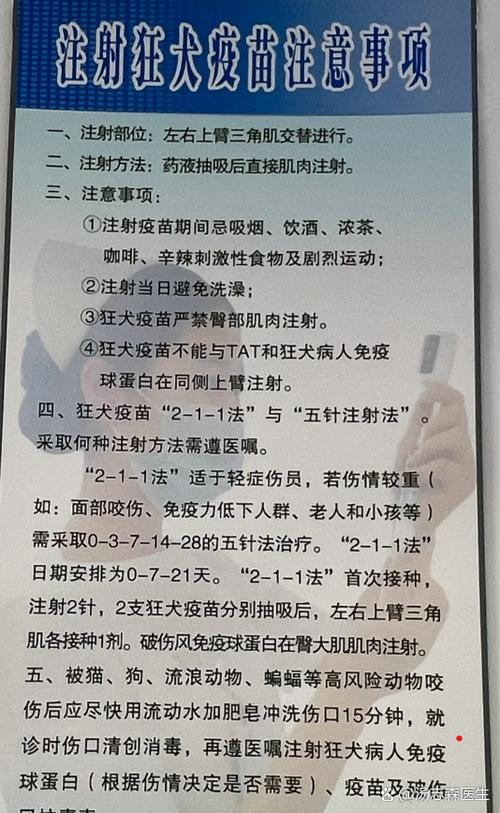 预防性狂犬疫苗和治疗性狂犬疫苗图标