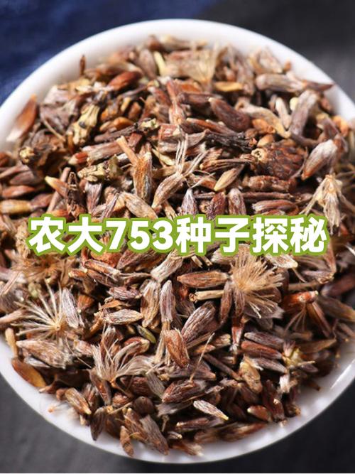 种子的起源故事截图