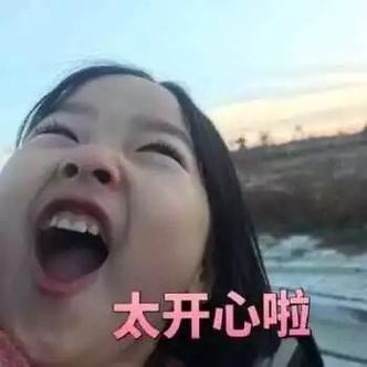 太开心了表情图片图标