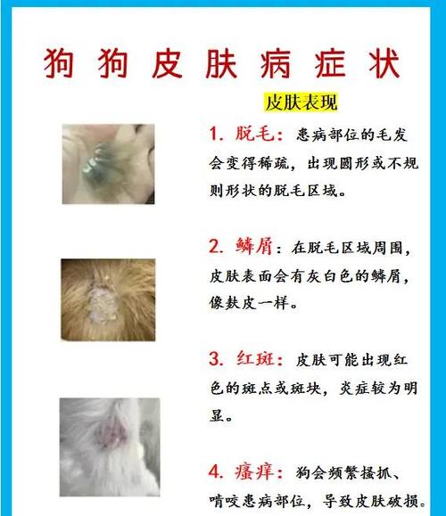 狗病了四脚无力站不起来什么病图标