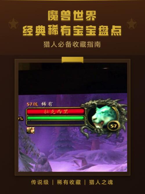 魔兽世界稀有龙鹰宝宝截图