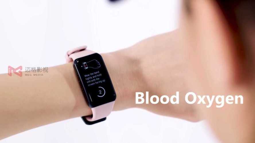 荣耀Band6手环功能介绍图标