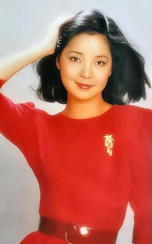 邓丽君图标