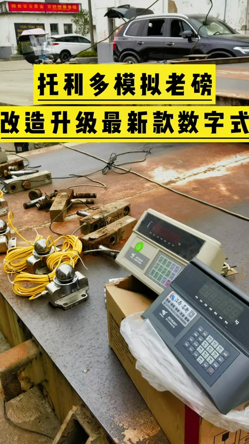 托利多电子秤怎么改价格图标