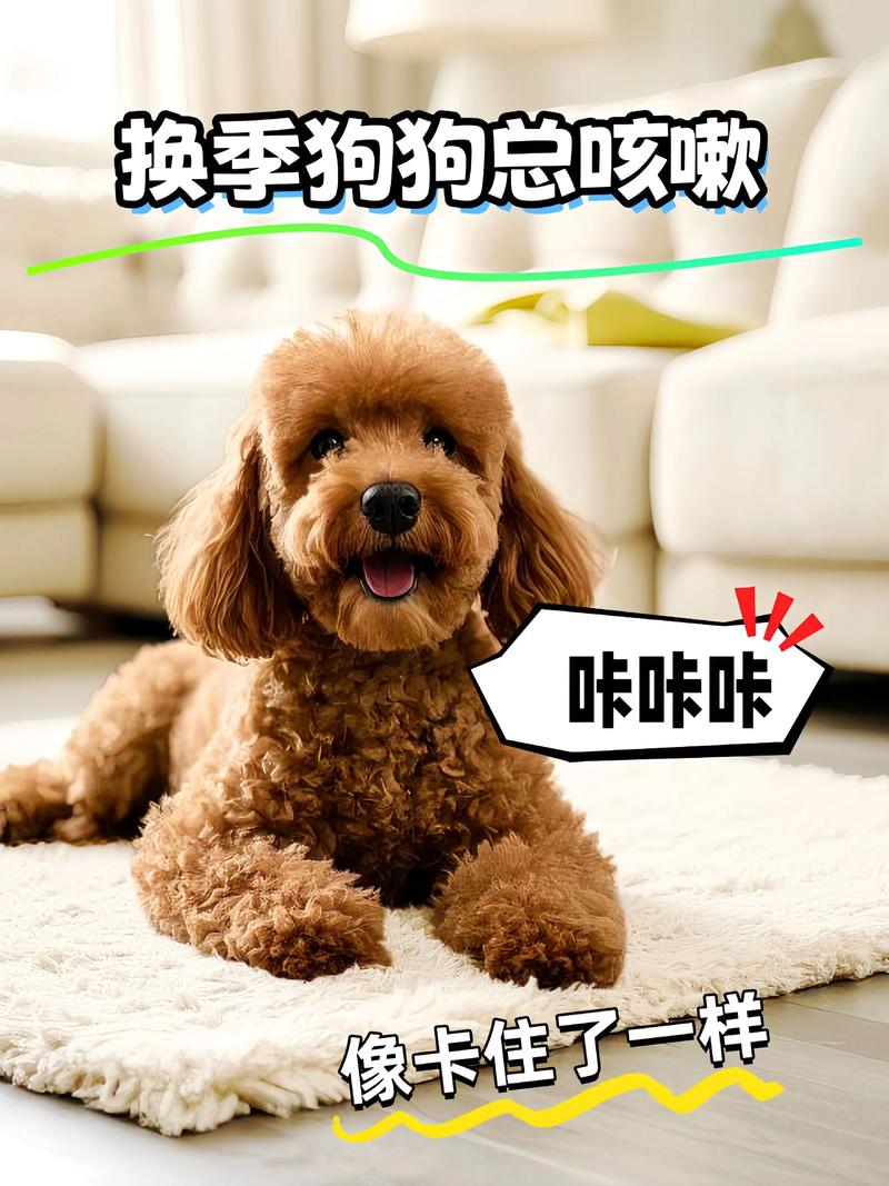 狗狗像卡痰一样的咳嗽图标