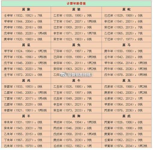 袁天罡四柱八字算命图标