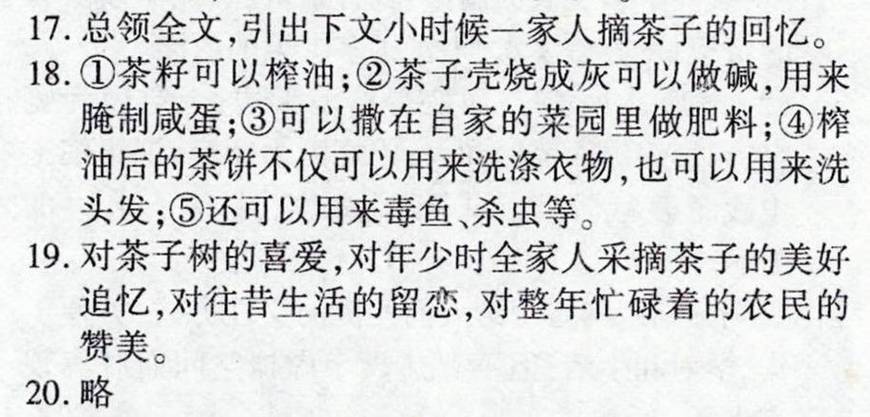 高傲的女孩阅读及答案图标