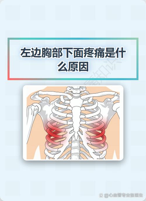 左后肋下疼痛位置图解截图