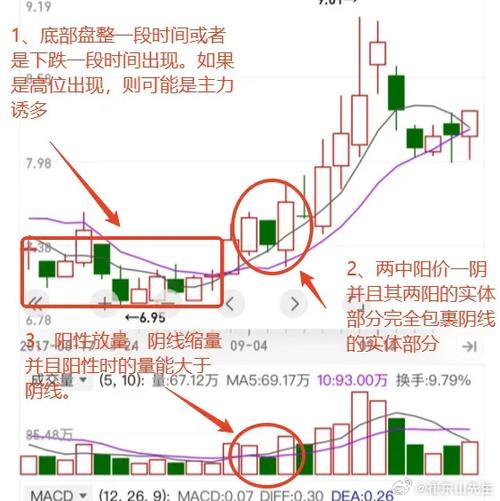 两阳夹阴是什么意思图标