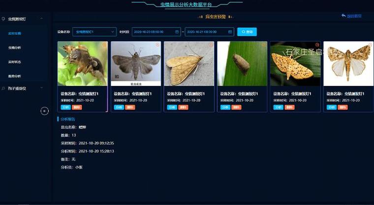 家里常见的虫子图标