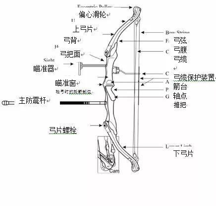 反曲弓图纸尺寸大全