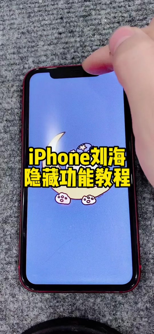 苹果手机刘海屏怎么设置图标