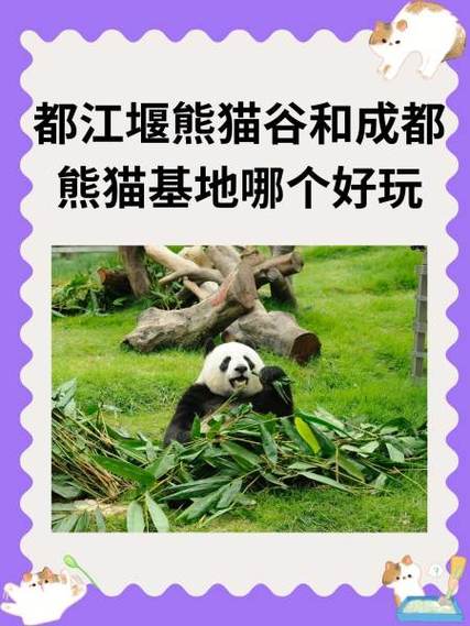 熊猫乐园还是熊猫谷好图标