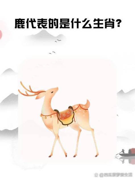 佳人代表什么生肖图标