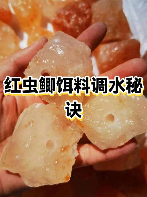 为什么红虫是最好的鱼饵截图