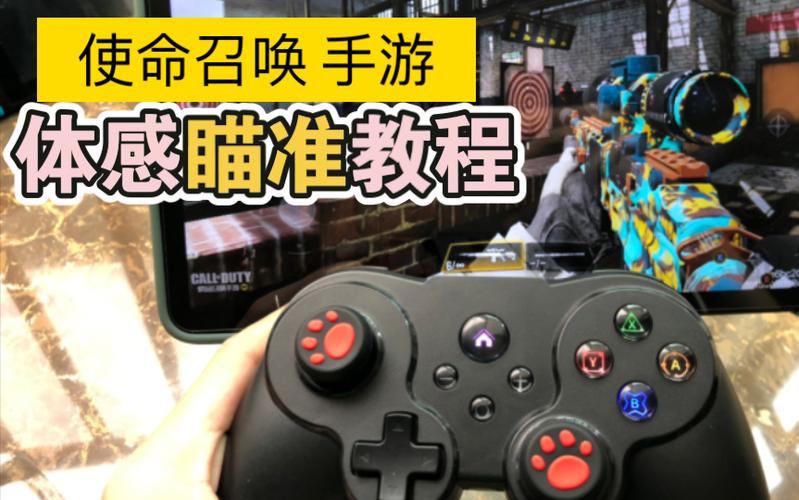 cod游戏支持体感手柄吗图标