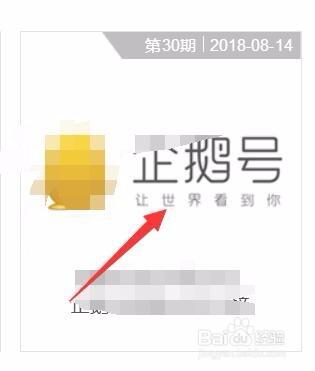 企鹅号是真的吗图标