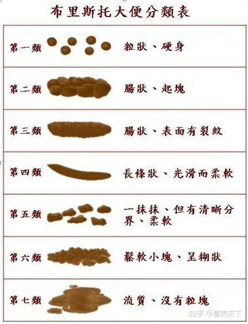 大便干燥怎么办截图
