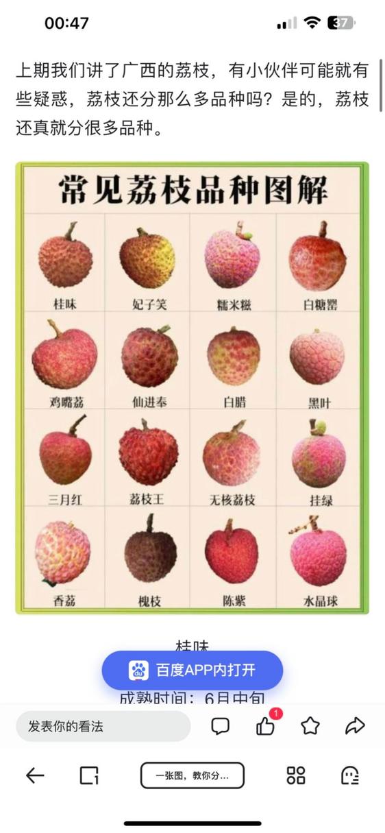 按顺序介绍荔枝截图