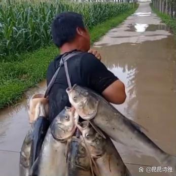 手机钓鱼是什么意思图标