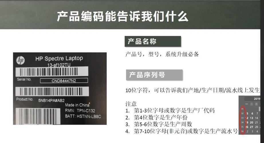 jmp免费序列号