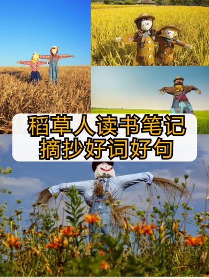 稻草人书屋要么读书要么旅行身体和图标