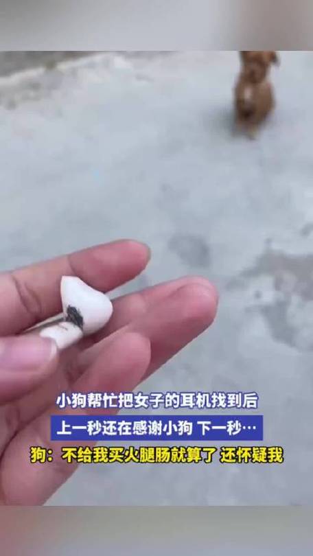 无线耳机丢了一只图标