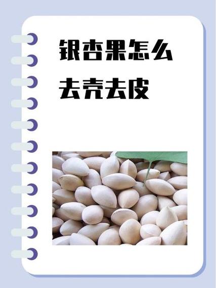 白果怎么去皮最快