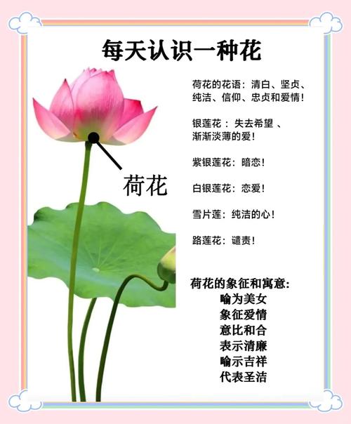 对付白莲花的绝招截图