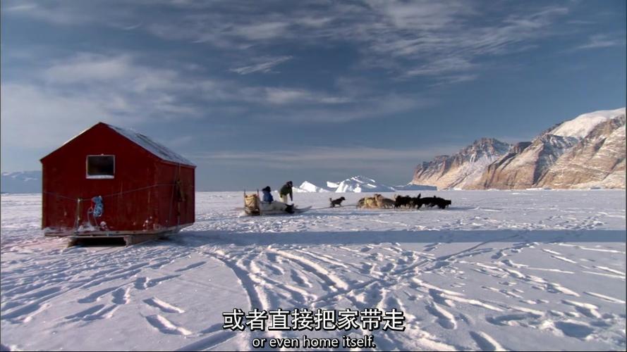 bbc人类星球图标