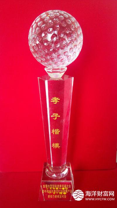 荣誉称号大全图标