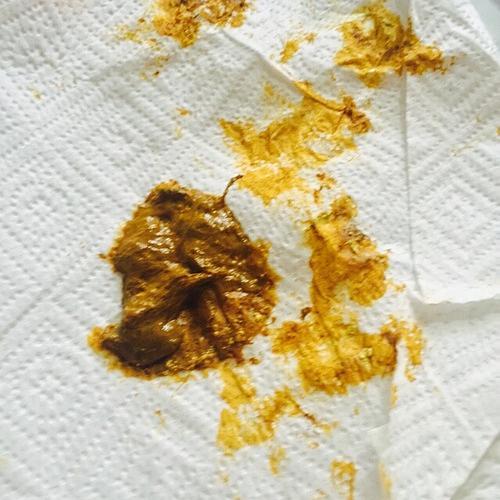 小喵粑粑图标