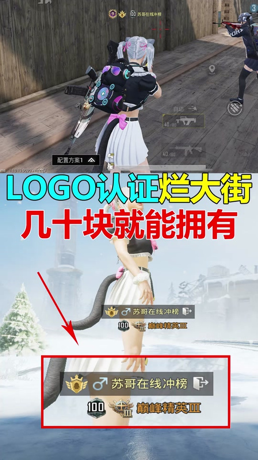 和平精英认证