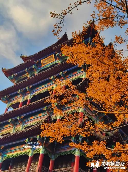 宝藏阁图标