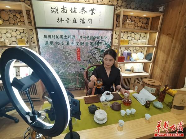 红茶绿茶茶叶直播图标