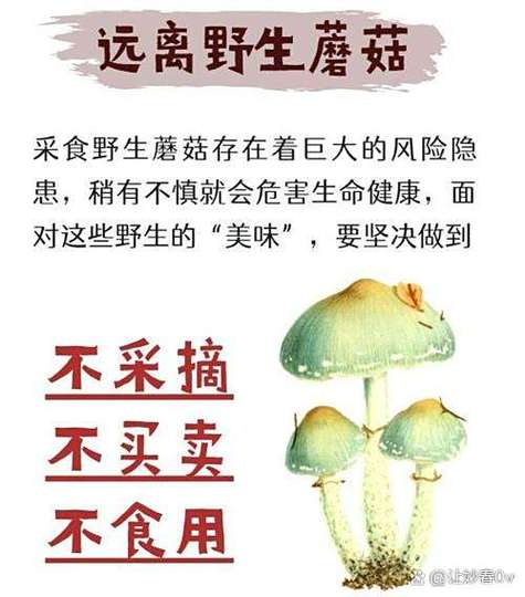 口蘑菌盖有褐色斑点能吃吗图标