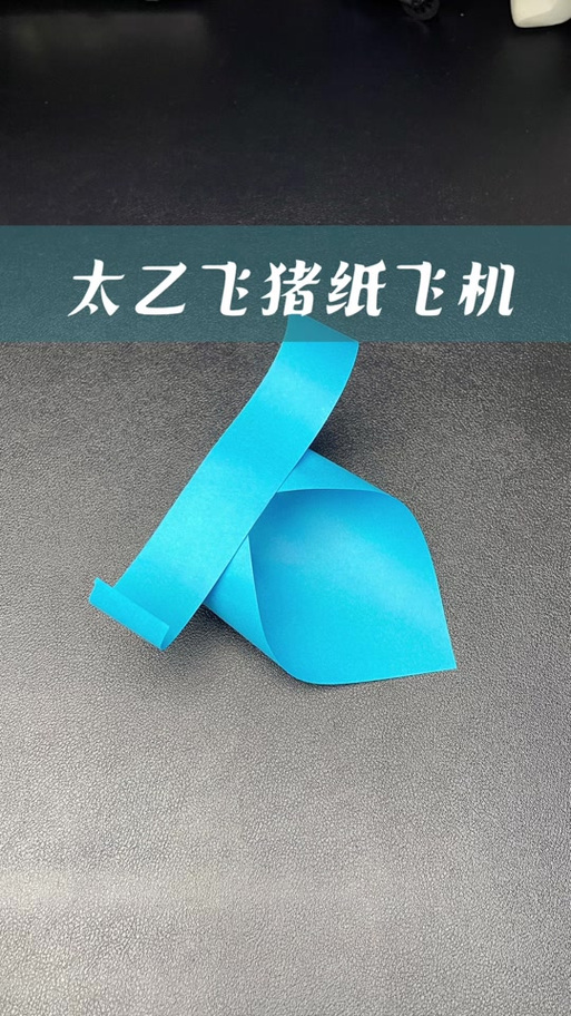 纸飞猪图标