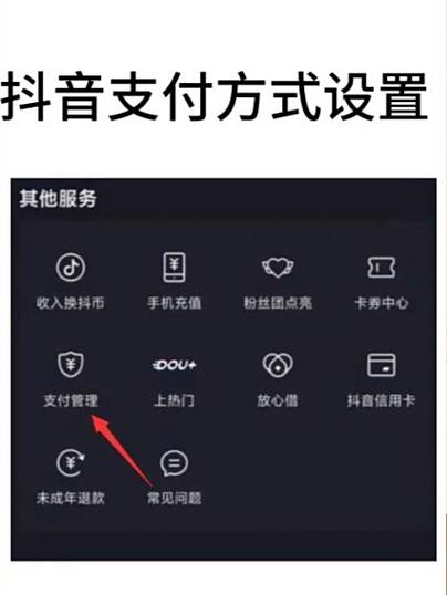 抖音支付首选支付宝怎么设置图标