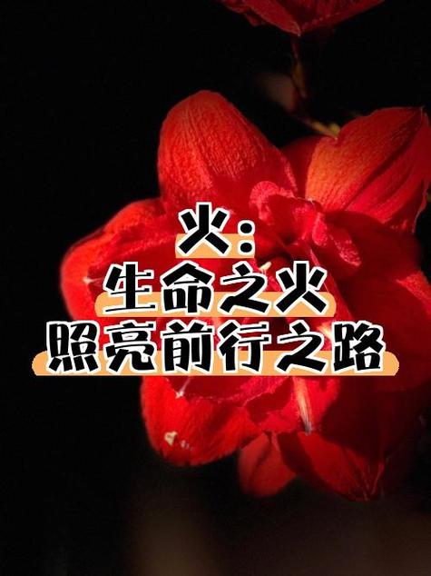 微信红色感叹又不显示拉黑