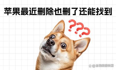 最近删除也删掉了图标