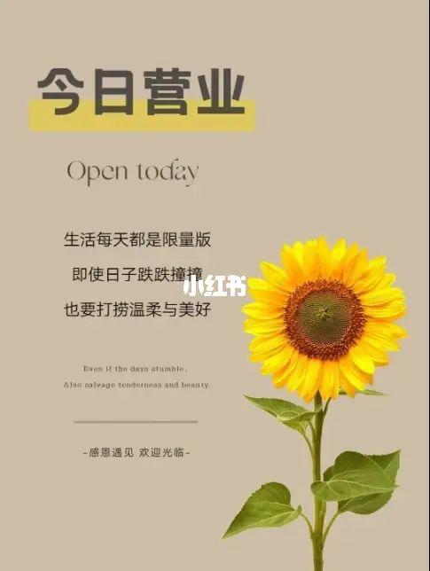 关于限量版的文案图标