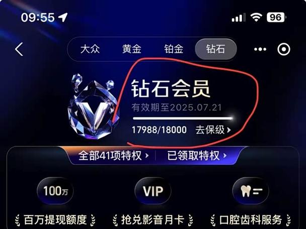 支付宝钻石会员有用吗?图标