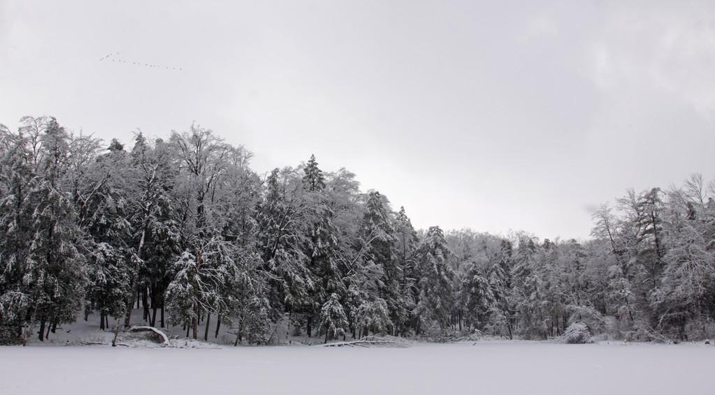 荒野大镖客2一直是雪天吗截图