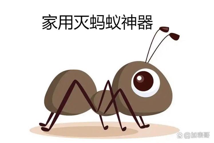蚂蚁会传染艾滋病吗截图