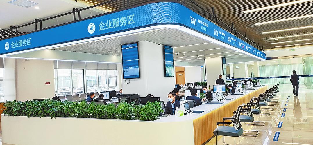 河南一体化服务平台官网图标