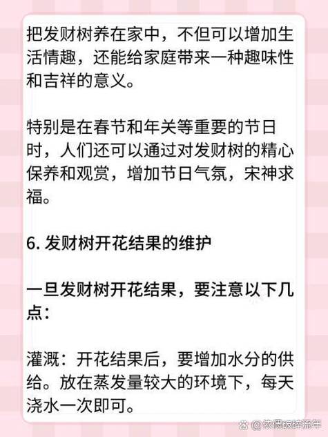 金钱树开花预示什么图标